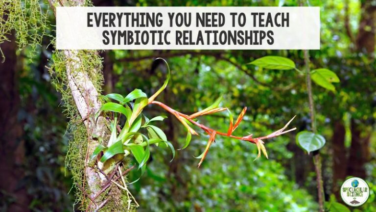 Everything You Need To Teach Symbiotic Relationships | Spectacular Science