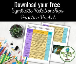 Everything You Need To Teach Symbiotic Relationships | Spectacular Science