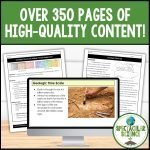 Geologic History Bundle - Index Fossils, Radioactive And Relative ...