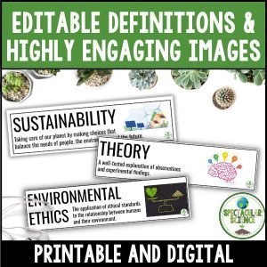 Intro To Environmental Science Vocabulary Word Wall Cards - Editable ...
