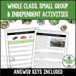 Types Of Rocks & Rock Cycle Unit - Quiz, Worksheet, Notes, Activity ...
