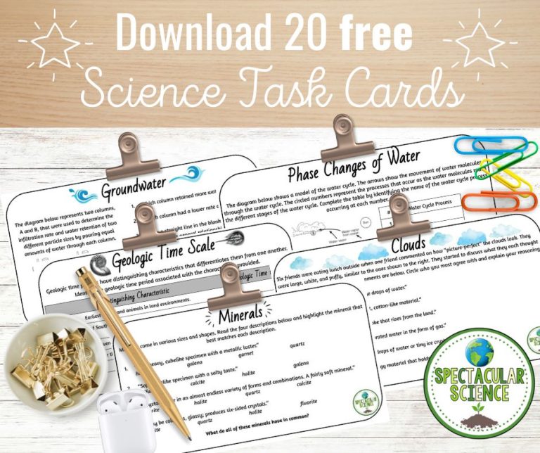 A Better Way To Support Student Organization Skills In Any Class ...