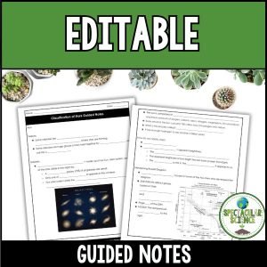 Classification Of Stars Presentation And Notes - Astronomy Worksheets ...