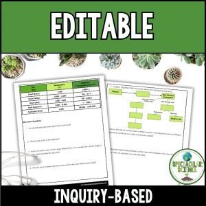 Life Cycle Of Stars Lab - Astronomy Worksheets, Editable Science ...