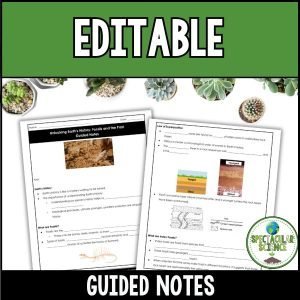 Index Fossils Presentation & Notes - Relative Dating, Law Of ...