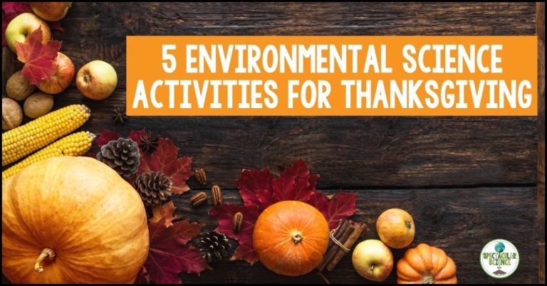 5 Environmental Science Activities For Thanksgiving | Spectacular Science