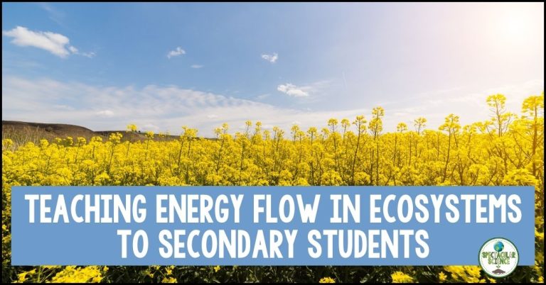 Teaching Energy Flow In Ecosystems To Secondary Students