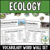 Ecology Vocabulary Word Wall Set - Editable, Poster, Environmental ...