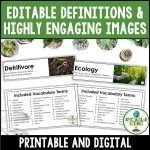 Ecology Vocabulary Word Wall Set | Spectacular Science