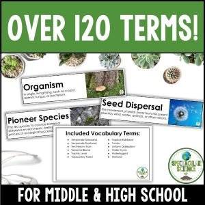 Ecology Vocabulary Word Wall Set | Spectacular Science