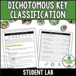 Dichotomous Key Candy Classification Lab | Spectacular Science