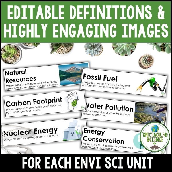 Environmental Science Vocabulary Word Wall Card Complete Set - Editable ...
