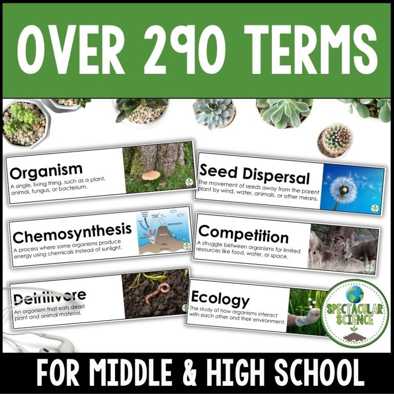 Environmental Science Vocabulary Word Wall Card Complete Set ...