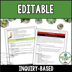 Earthquake Proof Building Worksheet - Activity, STEM Challenge ...