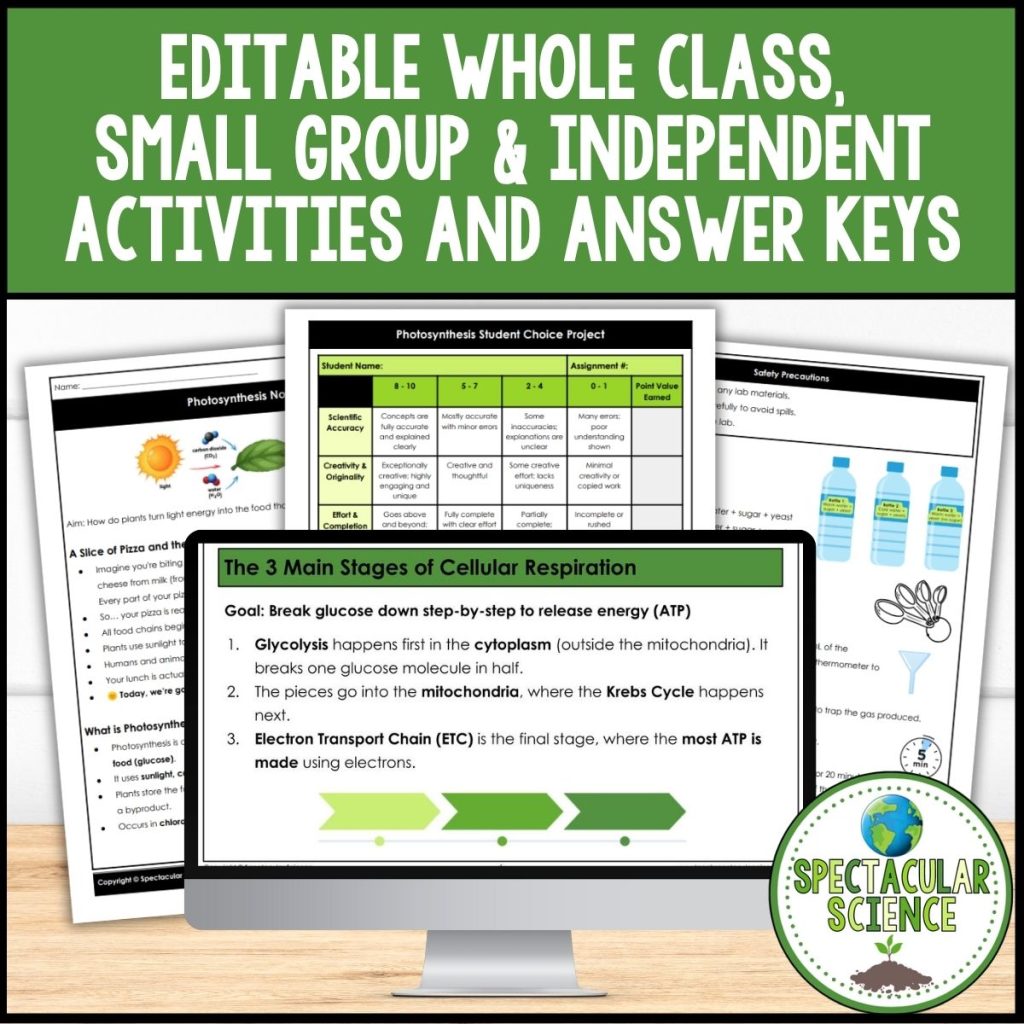 Energy In Living Systems Unit Bundle | Spectacular Science