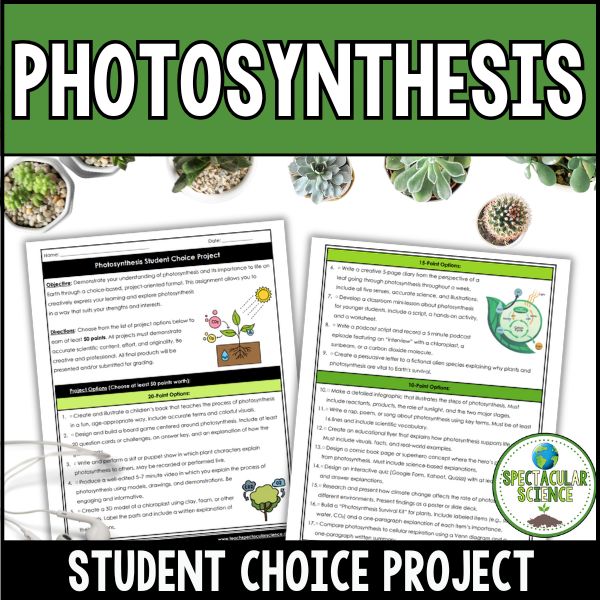 Photosynthesis Student Choice Project | Spectacular Science