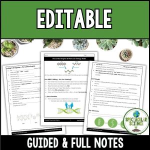 Central Dogma Presentation & Notes - Vocabulary, MRNA, Protein ...