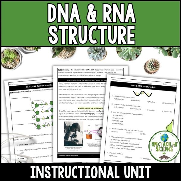 DNA & RNA Structure Unit | Spectacular Science