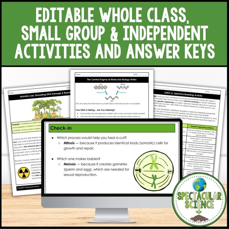 Genetics Unit Bundle | Spectacular Science