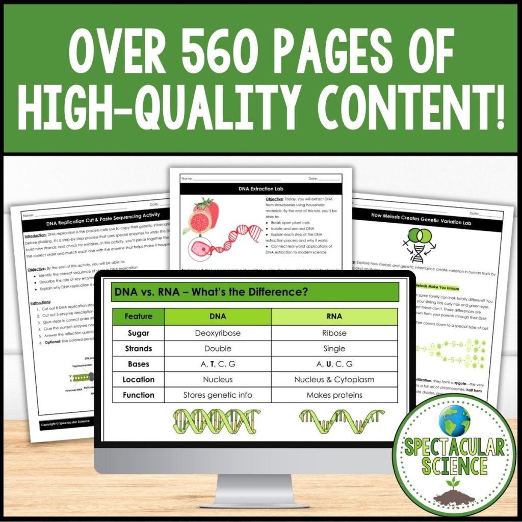 Genetics Unit Bundle | Spectacular Science