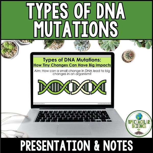 Types Of DNA Mutations Presentation & Notes | Spectacular Science