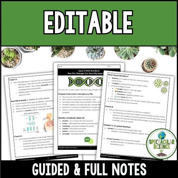 Types Of DNA Mutations Presentation & Notes | Spectacular Science