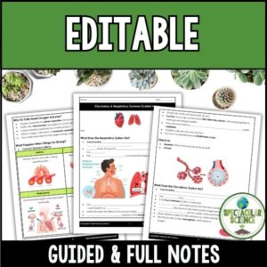 Circulatory & Respiratory Systems Presentation & Notes - Heart Lungs ...