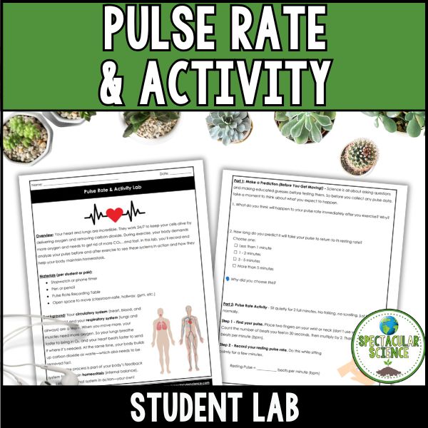 Pulse Rate & Activity Lab | Spectacular Science