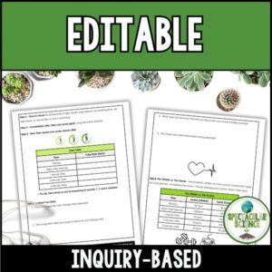 Pulse Rate Activity Lab - Homeostasis, Body Systems, Biology, Anatomy ...