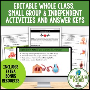 Human Body Systems Unit Bundle - Anatomy, Biology, Worksheets ...