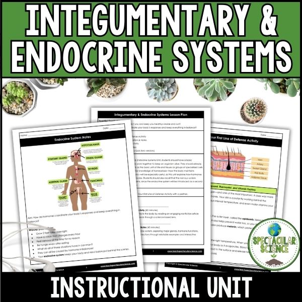 Integumentary & Endocrine Systems Unit | Spectacular Science