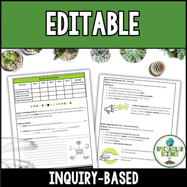Nervous System Reaction Time Lab | Spectacular Science