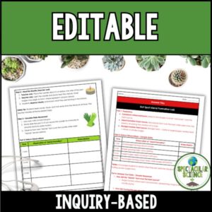 Hot Spot Island Formation Lab - Tectonic Plates, Volcano Worksheets ...