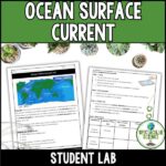 Ocean Surface Current Lab - Worksheet, Activity, Water Movement, Earth ...