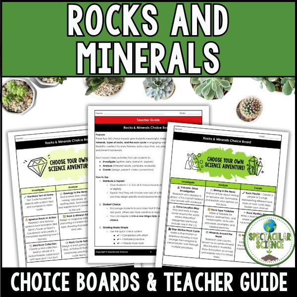 Rocks And Minerals Choice Boards Student Activity Worksheets ...