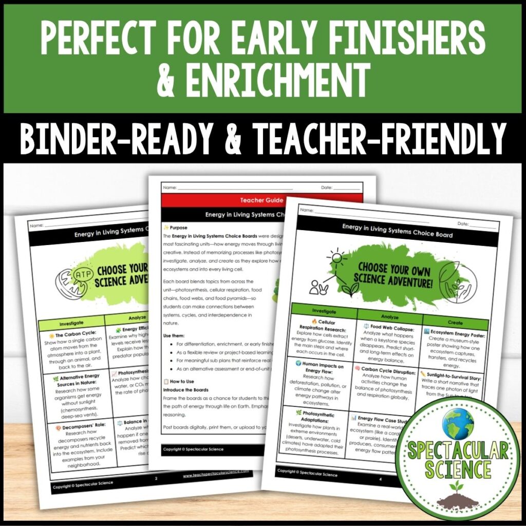 Biology Full Year Choice Board Bundle