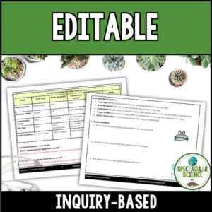Groundwater Flow & Contamination Plume Lab - Worksheet, Activity, Earth ...