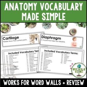 Human Body Systems Vocabulary Word Wall Set - Poster, Editable, Digital ...
