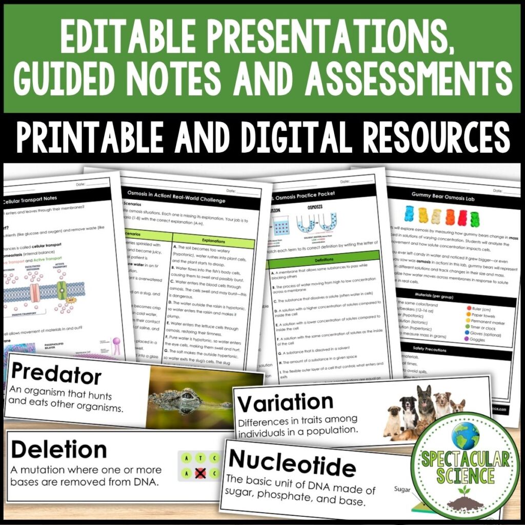 Biology Year Long Curriculum And Word Wall Bundle - Human Body ...